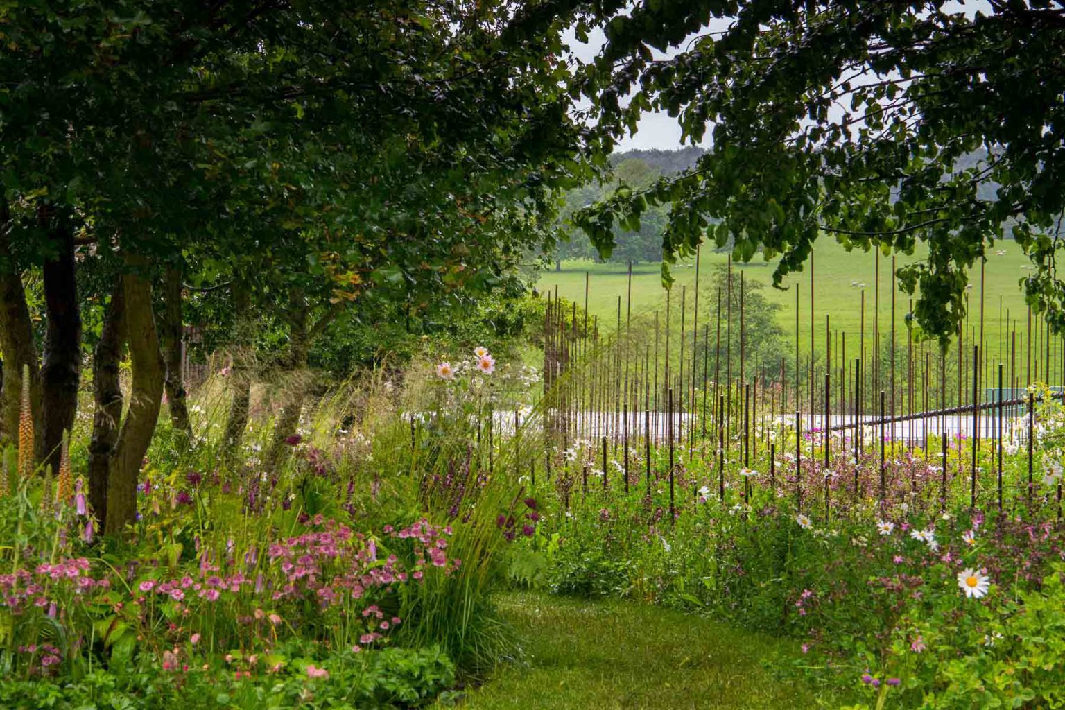 Garden and landscape designs by award winning designer Jo Thompson