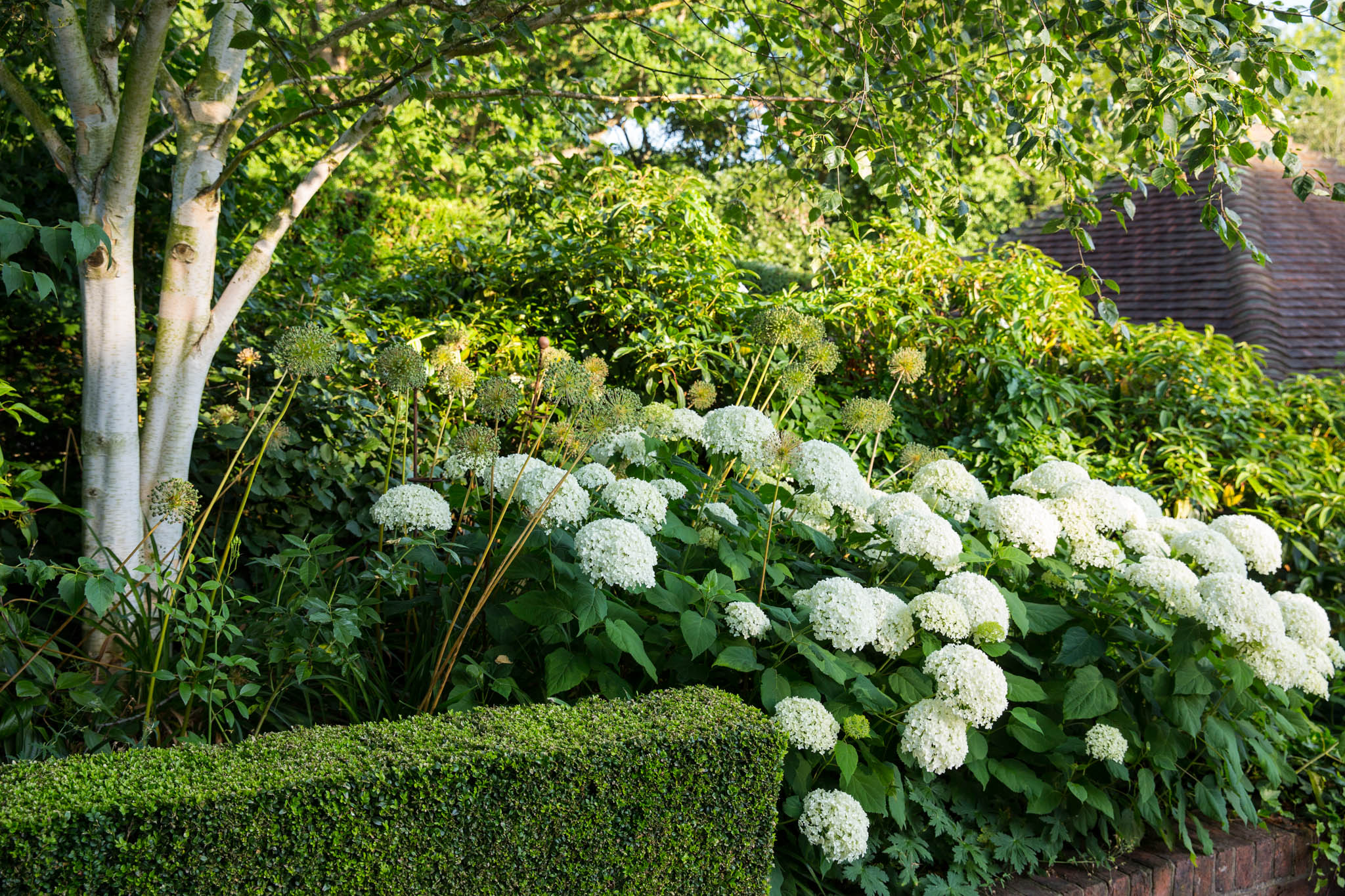 The Gardener's Palette - Jo Thompson Landscape & Garden Design