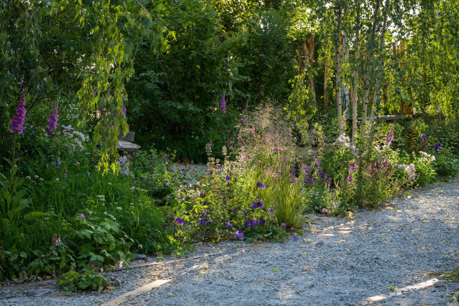 Garden and landscape designs by award winning designer Jo Thompson