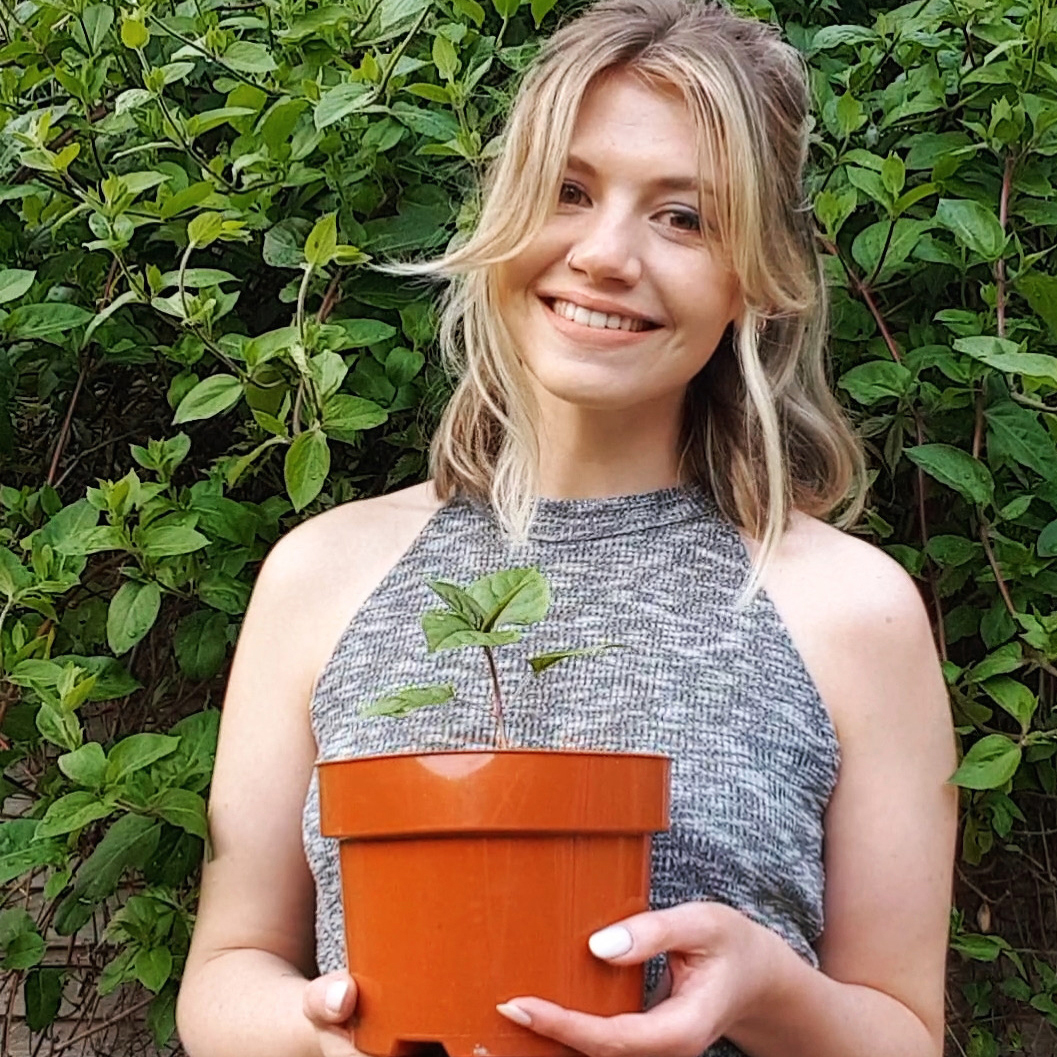 About – Jo Thompson Garden Designer