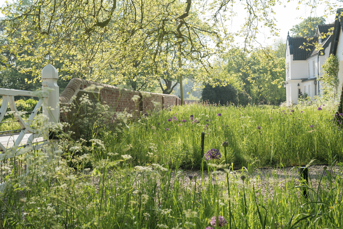 A Norfolk Rectory - Jo Thompson Garden & Landscape Design