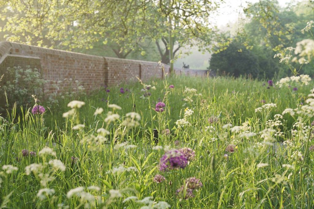 Garden and landscape designs by award winning designer Jo Thompson