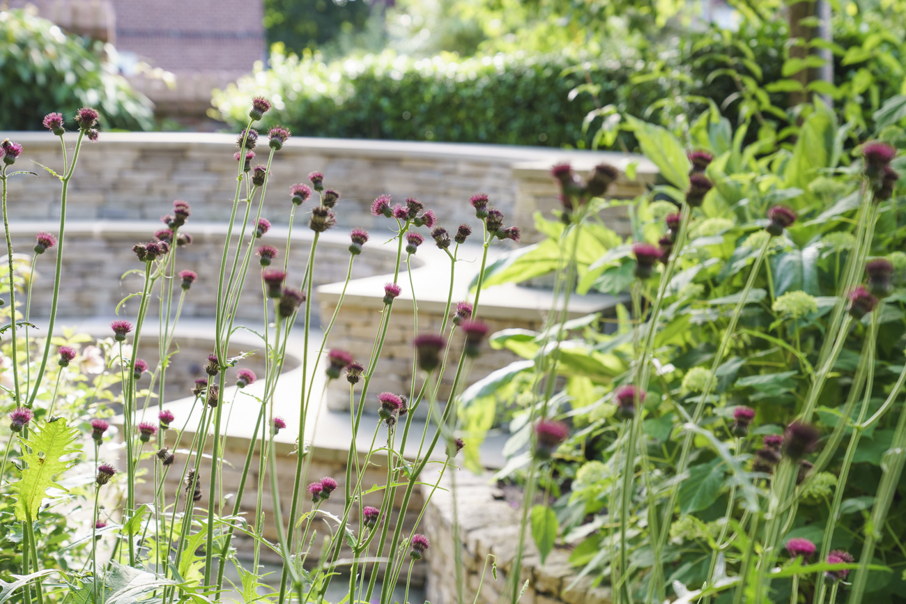 Garden and landscape designs by award winning designer Jo Thompson