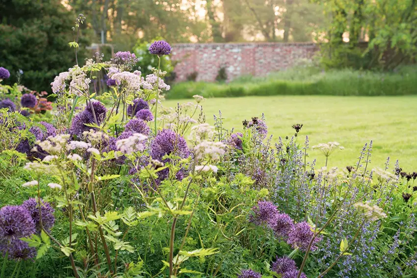 Garden Design London, Sussex & Kent. Jo Thompson.