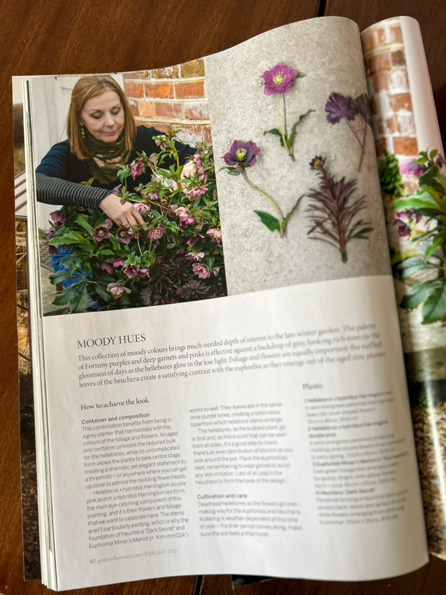 Jo creates designer spring pots for Gardens Illustrated - Jo Thompson ...