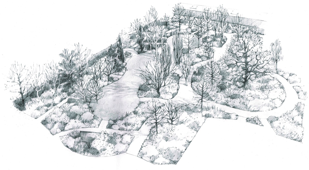 New Winter Garden at RHS Rosemoor - Jo Thompson Landscape & Garden Design
